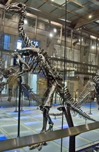 Mantellisaurus | Jurassic Park Institute Wiki | Fandom