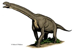 Jobaria | Jurassic Park Institute Wiki | Fandom