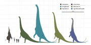 Diplodocus | Jurassic Park Institute Wiki | Fandom
