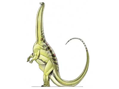 Brontosaurus | Jurassic Park Institute Wiki | Fandom