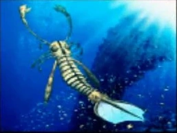 Pterygotus | Jurassic Park Institute Wiki | Fandom