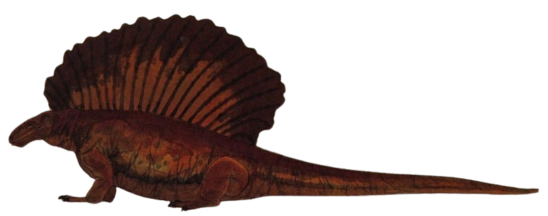 Edaphosaurus | Jurassic Park Institute Wiki | Fandom