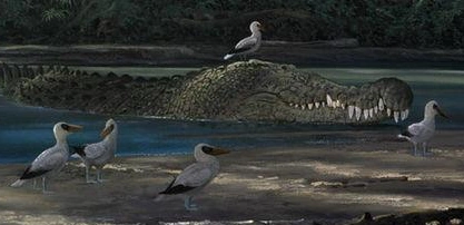 Ichthyornis | Jurassic Park Institute Wiki | Fandom