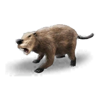 Castoroides | Jurassic Park Institute Wiki | Fandom
