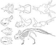 Protoceratops | Jurassic Park Institute Wiki | Fandom
