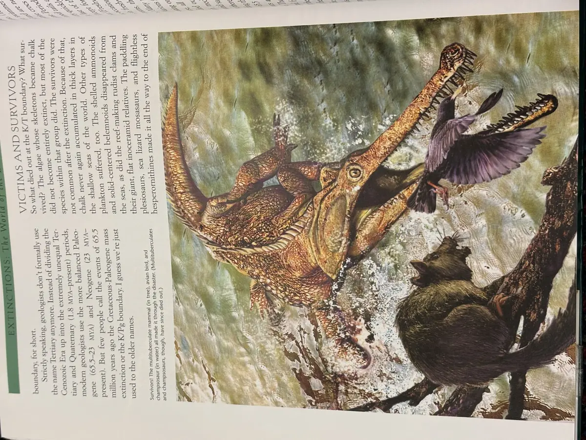 Champsosaurus | Jurassic Park Institute Wiki | Fandom