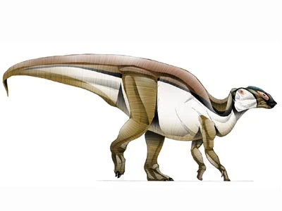 Gryposaurus | Jurassic Park Institute Wiki | Fandom