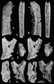 Bagaraatan | Jurassic Park Institute Wiki | Fandom