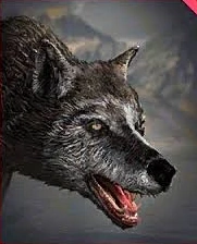 Armbruster's Wolf | Jurassic Park Institute Wiki | Fandom