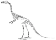 Compsognathus | Jurassic Park Institute Wiki | Fandom