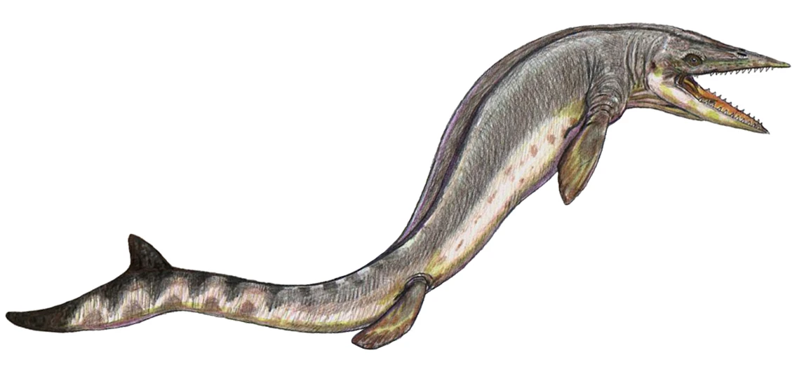 Category:Mosasaurs | Jurassic Park Institute Wiki | Fandom