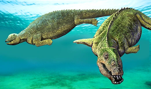Placodus | Jurassic Park Institute Wiki | Fandom