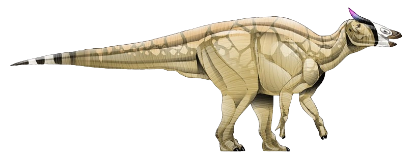 Saurolophus | Jurassic Park Institute Wiki | Fandom
