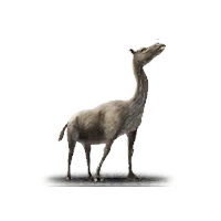 Aepycamelus | Jurassic Park Institute Wiki | Fandom