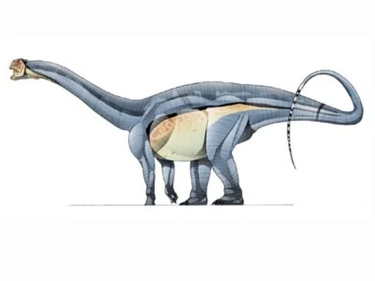 Haplocanthosaurus | Jurassic Park Institute Wiki | Fandom