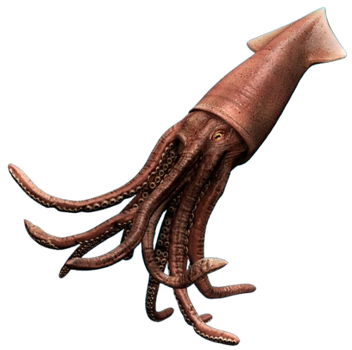 Tusoteuthis | Jurassic Park Institute Wiki | Fandom