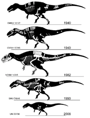 Acrocanthosaurus | Jurassic Park Institute Wiki | Fandom