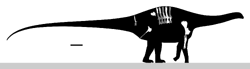Rebbachisaurus | Jurassic Park Institute Wiki | Fandom