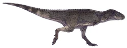 Aucasaurus | Jurassic Park Institute Wiki | Fandom