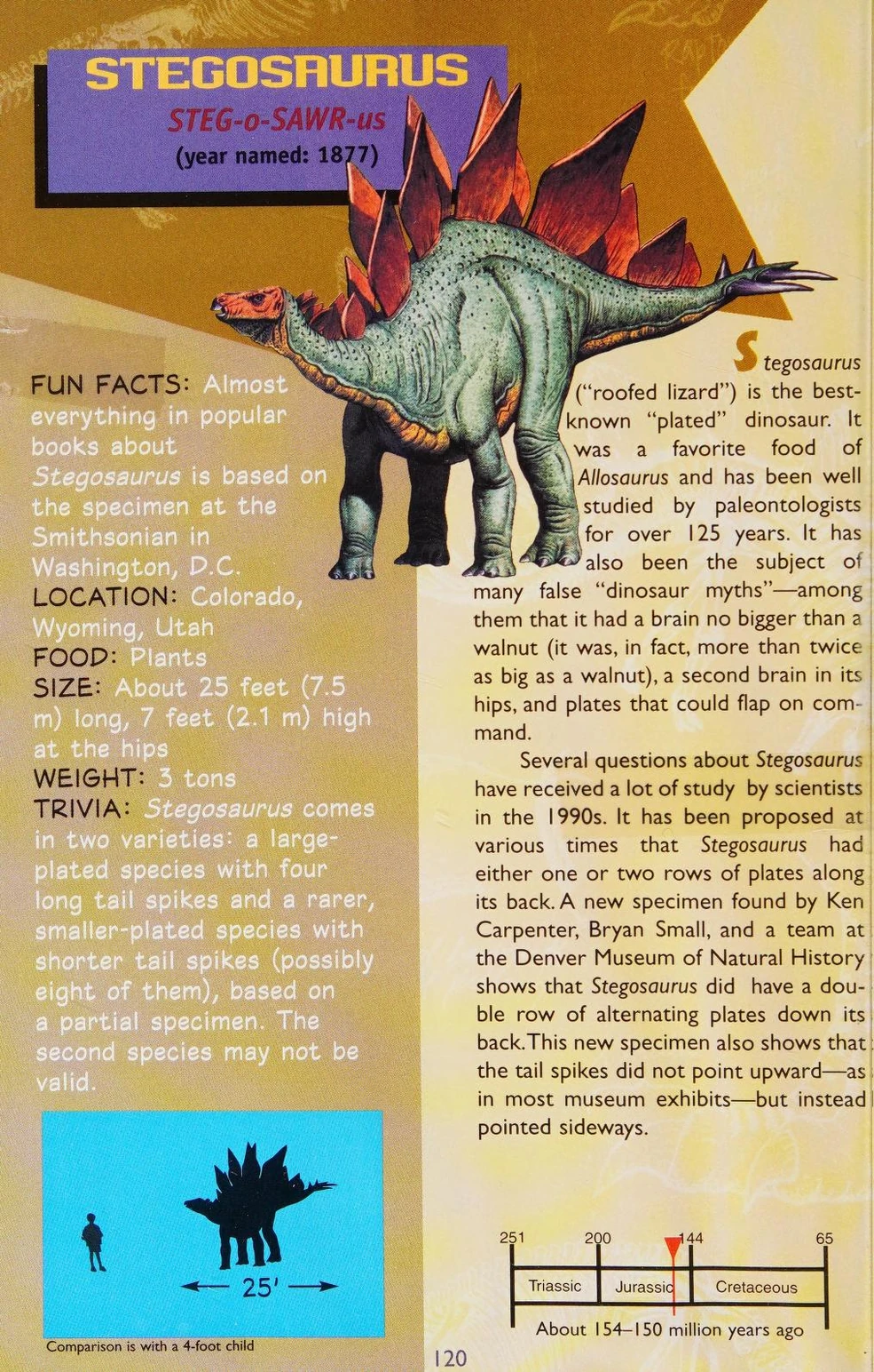 Top 5 Facts Stegosaurus How It Works