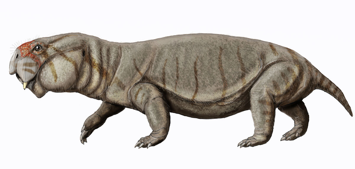 Turfanodon Jurassic Park Institute Wiki Fandom