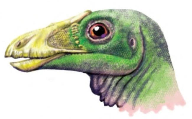 Sinornithomimus | Jurassic Park Institute Wiki | Fandom