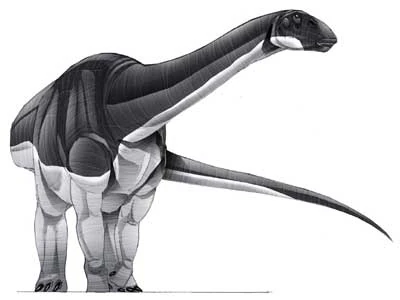 Bellusaurus | Jurassic Park Institute Wiki | Fandom