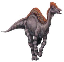 Corythosaurus | Jurassic Park Institute Wiki | Fandom