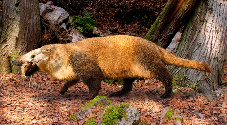 Repenomamus | Jurassic Park Institute Wiki | Fandom