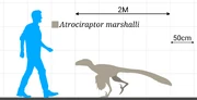 Atrociraptor | Jurassic Park Institute Wiki | Fandom