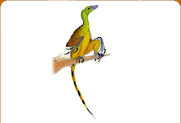 sinornithosaurus diet