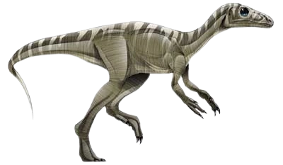 Eoraptor | Jurassic Park Institute Wiki | Fandom