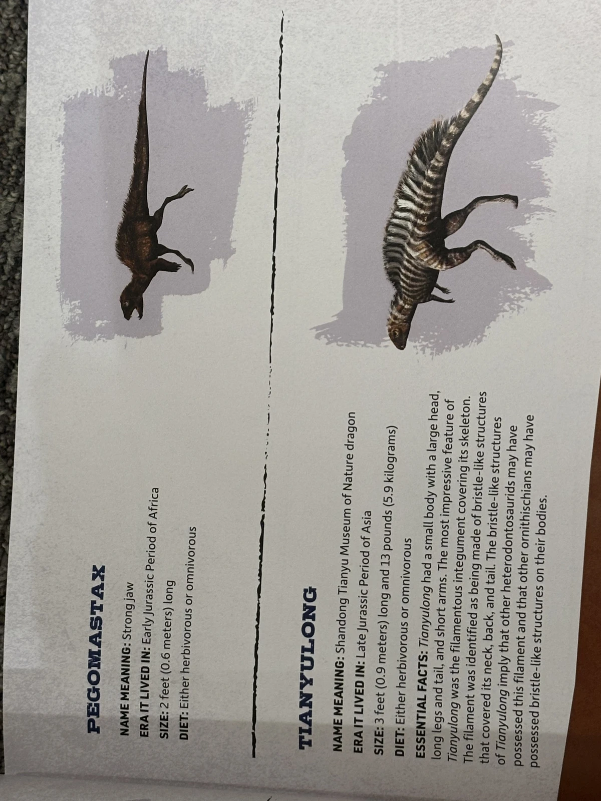 Pegomastax | Jurassic Park Institute Wiki | Fandom