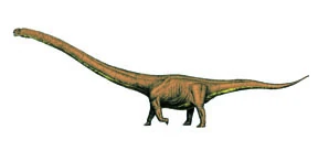 Mamenchisaurus | Jurassic Park Institute Wiki | Fandom