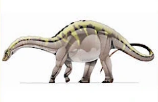 Nemegtosaurus | Jurassic Park Institute Wiki | Fandom