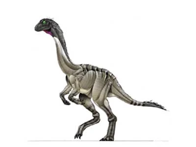 Avimimus | Jurassic Park Institute Wiki | Fandom