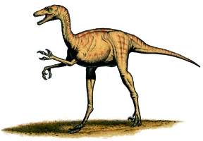 Troodon | Jurassic Park Institute Wiki | Fandom