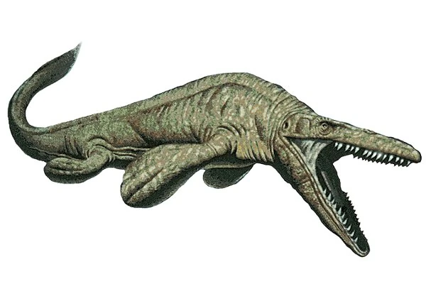 Tylosaurus | Jurassic Park Institute Wiki | Fandom