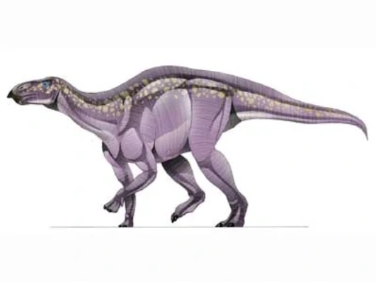 Eolambia | Jurassic Park Institute Wiki | Fandom
