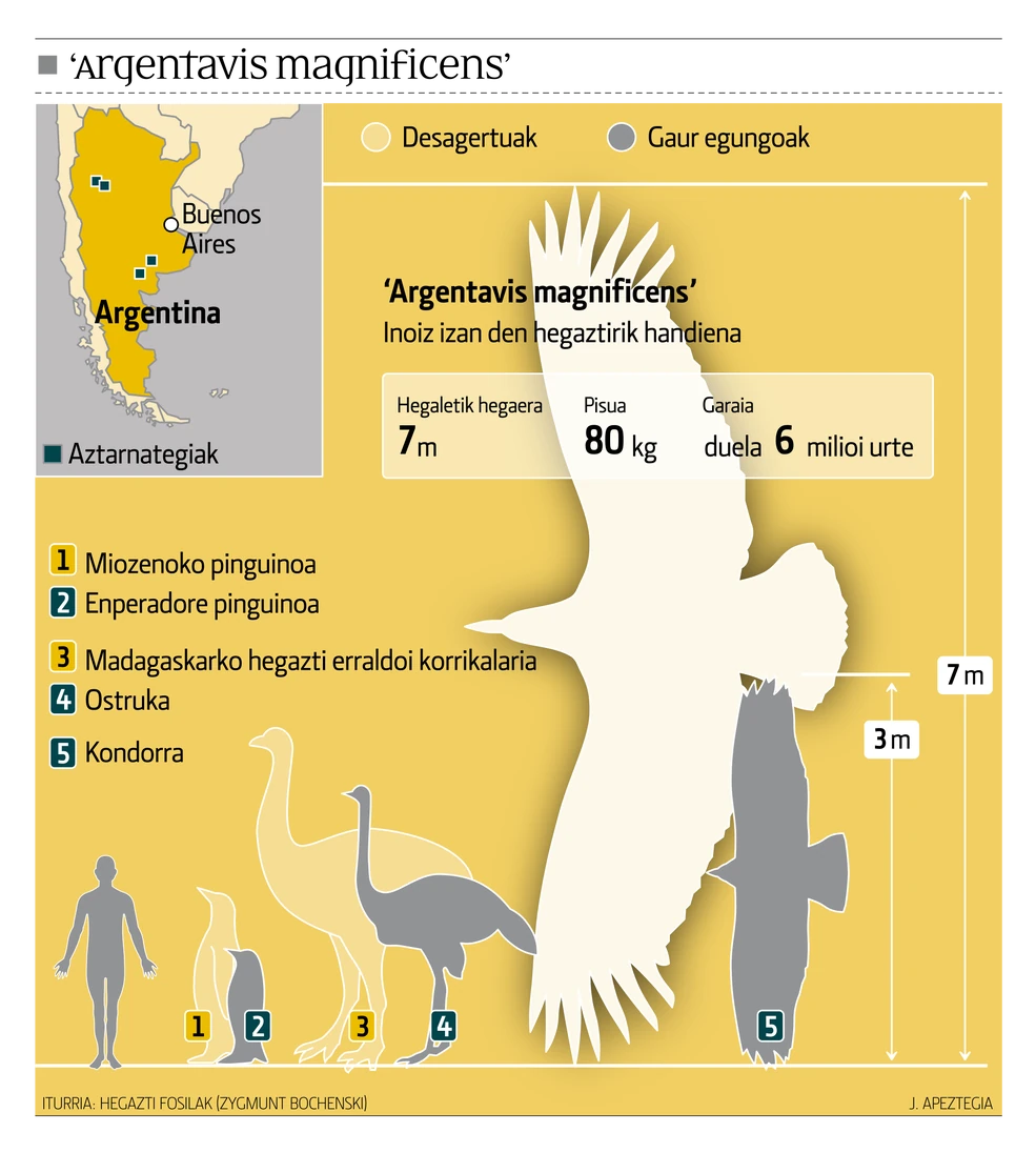Esqueleto De Argentavis Magnificens