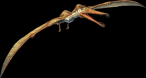 Cearadactylus | Jurassic Park Institute Wiki | Fandom