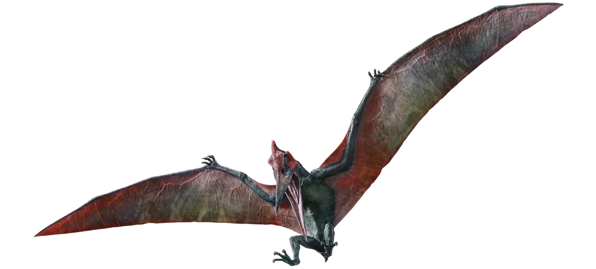 Pteranodon | Jurassic Park Institute Wiki | Fandom