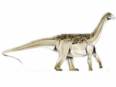 Saltasaurus | Jurassic Park Institute Wiki | Fandom