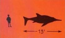 Ophthalmosaurus | Jurassic Park Institute Wiki | Fandom
