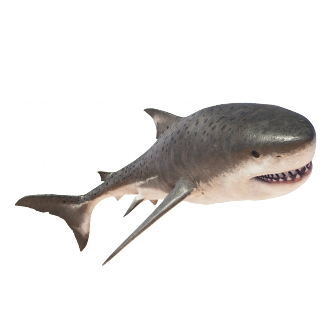 Megalodon | Jurassic Park Institute Wiki | Fandom