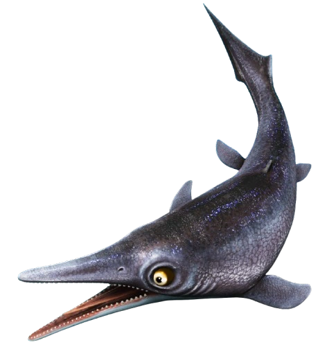 Barracudasaurus | Jurassic Park Institute Wiki | Fandom