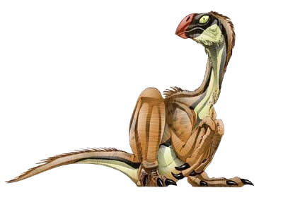 Conchoraptor | Jurassic Park Institute Wiki | Fandom