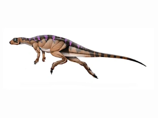 Hypsilophodon | Jurassic Park Institute Wiki | Fandom