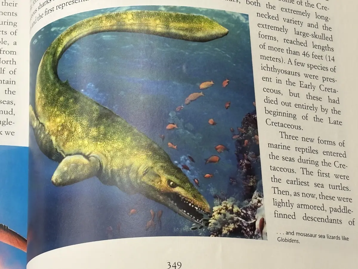 Globidens | Jurassic Park Institute Wiki | Fandom