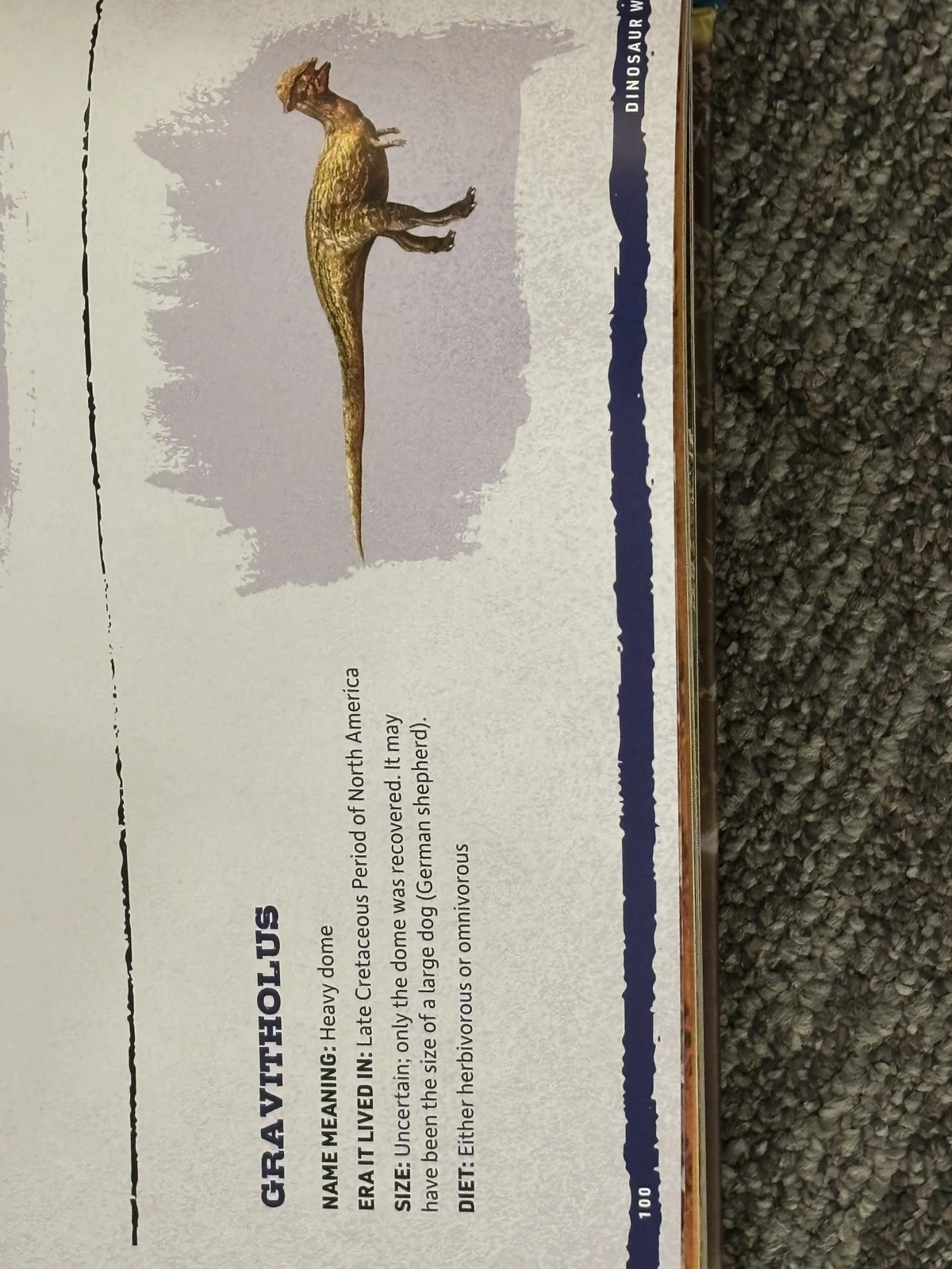 Gravitholus | Jurassic Park Institute Wiki | Fandom